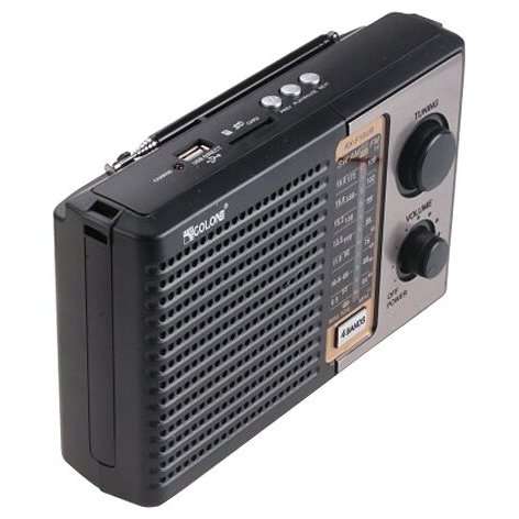 Golon Radio RX-F10UR USB/SD Music Player Radio With Rechargeable ...